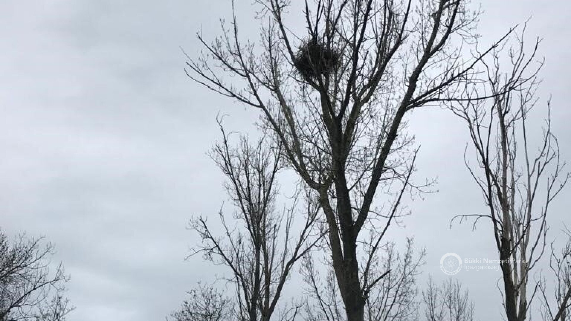 2023/1 6. Eagle’s eggs inventory - Sights - Novohrad-Nógrád Geopark