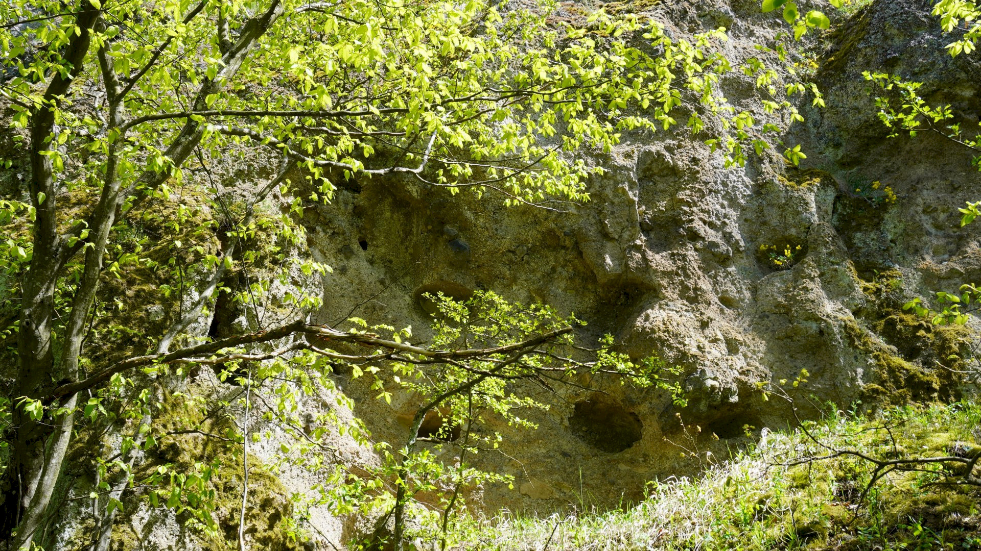 Basalt Cone of Pécs-kő - Sights - Novohrad-Nógrád Geopark